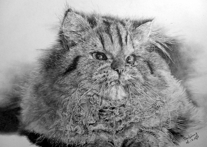 Unbelievable Pencil Drawings by Paul Lung | Amusing Planet